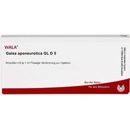 WALA Galea aponeurotica Gl D 5 Ampullen 10 ml