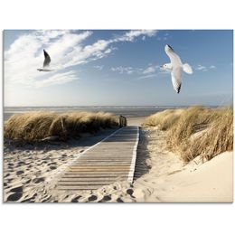 Glasbild Artland "Nordseestrand auf Langeoog mit M&ouml;wen", blau (farbe bild(er): blau), B:80cm H:60cm, Bilder, in verschiedenen Gr&ouml;&szlig;en