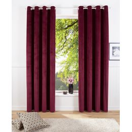 Vorhang OTTO HOME "Velvet Uni" Gr. 3, rot, B:140cm H:225cm, Polyester, Polyester, Gardinen, Blickdichter Samt, 2-er Set, edel, Gardine, multifunktional