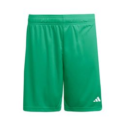 adidas Performance Sportshorts 'ENT26' Jungen Gr&ouml;&szlig;e 164 limette / wei&szlig;