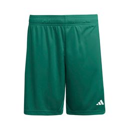 adidas Performance Sportshorts 'ENT26' Jungen Gr&ouml;&szlig;e 152 dunkelgr&uuml;n / wei&szlig;