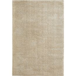 ANDIAMO Teppich 'Fen' beige 120 x 170 cm