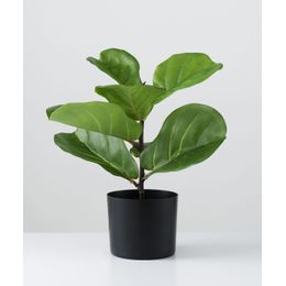 Casa Nova Kunstpflanze FICUS LYRATA