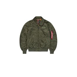 Alpha Industries Between-Season Jacket 'Flying Tigers' male Green size L