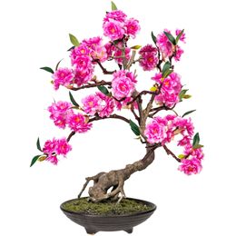 Kunstbonsai DELAVITA "Margarete", pink, B:23cm H:50cm, Obermaterial: 50% Kunststoff, 50% Polyester, Kunstpflanzen, Kunstbonsai, Kunstpflanze, im Topf