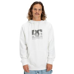 Hoodie DC Shoes "DC Star Reflective", Herren, Gr. L, wei&szlig;, Obermaterial: 55% Baumwolle, 25% Baumwolle, 20% Polyester;, Sweatshirts Hoodie