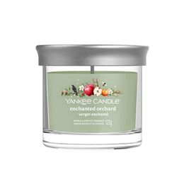 yankee candle Duftkerze ''Enchanted Orchard" - 122 g - 28% | Kerzen-vasen
