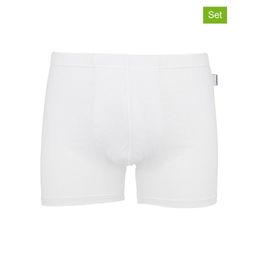 COTONELLA 2er-Set: Boxershorts in Wei&szlig; - 62% | Gr&ouml;&szlig;e L | Herren-waesche