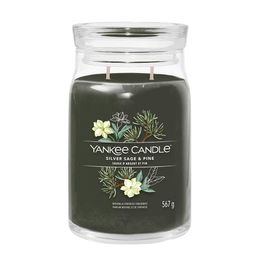 yankee candle Duftkerze "Silver Sage & Pine" - 567 g - 27% | Kerzen-vasen