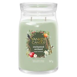 yankee candle Duftkerze ''Enchanted Orchard'' - 567 g - 38% | Kerzen-vasen