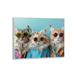 Orangewallz Gerahmter Kunstdruck "Cat Band" - 26% | Gr&ouml;&szlig;e 40x50 cm | Wanddekoration