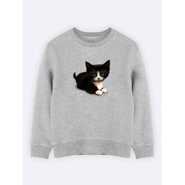 WOOOP Sweatshirt "Cute cat" in Grau - 59% | Gr&ouml;&szlig;e 128 | Kinder-sweatshirts-jacken