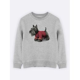 WOOOP Sweatshirt "Scotty" in Grau - 61% | Gr&ouml;&szlig;e 104 | Kinder-sweatshirts-jacken
