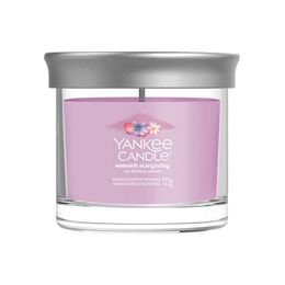 yankee candle Duftkerze ''Summit Stargazing'' - 122 g - 15% | Kerzen-vasen