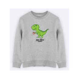 WOOOP Sweatshirt "Tea rex' in Grau - 59% | Gr&ouml;&szlig;e 140 | Kinder-sweatshirts-jacken