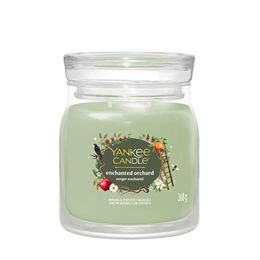 yankee candle Duftkerze ''Enchanted Orchard'' - 368 g - 27% | Kerzen-vasen