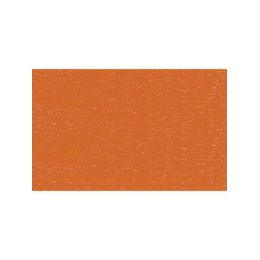 Buntpapierfabrik Ludwig B&auml;hr Tonkarton 220g/qm A4 Packung mit 100 Bogen orange | Gr.: onesize