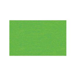Buntpapierfabrik Ludwig B&auml;hr Laternenpackung Rundbogen grasgr&uuml;n Packung mit 25 St&uuml;ck | Gr.: onesize