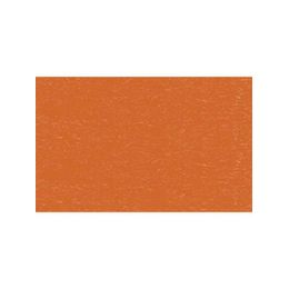 Buntpapierfabrik Ludwig B&auml;hr Fotokarton 300g/qm A4 Packung mit 50 Blatt orange | Gr.: onesize