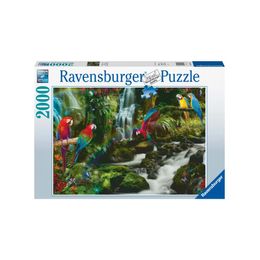 Ravensburger Puzzle - Bunte Papageien im Dschungel - 2000 Teile | Gr.: onesize