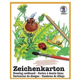 Buntpapierfabrik Ludwig B&auml;hr Zeichenkarton 150g/qm A4 Packung mit 250 Bogen | Gr.: onesize