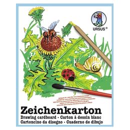 Buntpapierfabrik Ludwig B&auml;hr Zeichenkarton 250g/qm A4 Packung mit 50 Bogen | Gr.: onesize