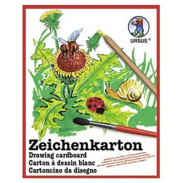 Buntpapierfabrik Ludwig B&auml;hr Zeichenkarton 200g/qm A4 Packung mit 250 Bogen | Gr.: onesize