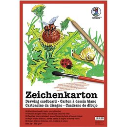 Buntpapierfabrik Ludwig B&auml;hr Zeichenkarton 200g/qm A3 Packung mit 50 Bogen | Gr.: onesize