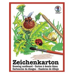 Buntpapierfabrik Ludwig B&auml;hr Zeichenkarton 200g/qm A2 Packung mit 25 Bogen | Gr.: onesize