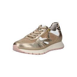 Gabor Sneaker in Sand | Gr.: 37,5