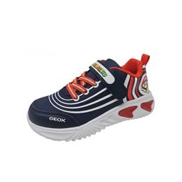 Geox Sneaker Assister Blinker Super Ma in Blau | Gr.: 30