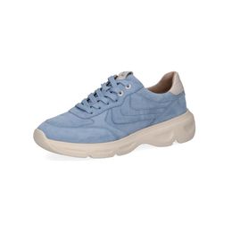 Caprice Sneaker blau | Gr.: 41