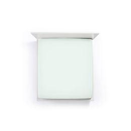Formesse Spannbettlaken Bella Donna Jersey in Pastellgr&uuml;n | Gr.: 90-x-200-cm