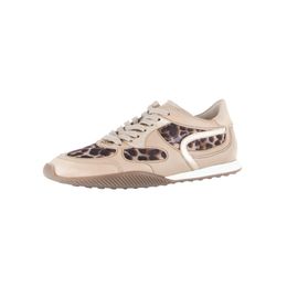 Gabor Sneaker beige | Gr.: 37-dot-5