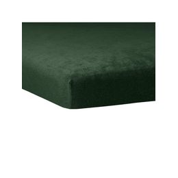 Traumschlaf Spannbettlaken Flauschbiber Topper in tanne | Gr.: 120x200 cm - 130x200 cm