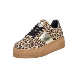 Steve Madden Sneaker in Leopard | Gr.: 36