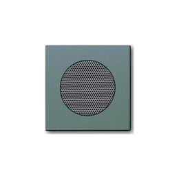 BUSCH-JAEGER Zentralscheibe meteor/gr f.EB-Lautsprecher 8253-803 (2CKA008200A0115)