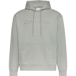 Kapuzensweatshirt Calvin Klein "LS EU 350TERRYHOODIE", Herren, Gr. L, shadow, Sweatware, Obermaterial: 100% Baumwolle, unifarben, regular fit normal, Rundhals, eingesetzt Rippb&uuml;ndchen, Sweatshirts, Regular fit mit Kapuze