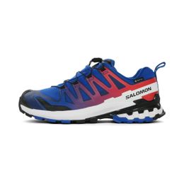 Salomon XA Pro 3D V9 GTX Equipe Herren