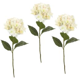 Kunstblume I.GE.A. "Hortensie", beige (creme), B:16cm H:73cm, Obermaterial: 98% Polyester, 2% Kunststoff, Kunstpflanzen, 3er Set