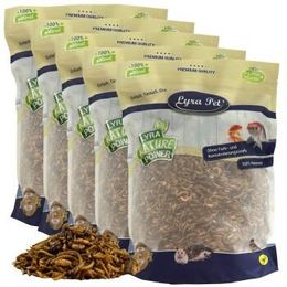 LYRA PET Protein Boost Insekten Mix - mit Mehlw&uuml;rmern, Shrimps & Grash&uuml;pfern 5 kg