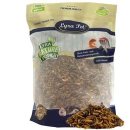 LYRA PET Protein Boost Insekten Mix - mit Mehlw&uuml;rmern, Shrimps & Grash&uuml;pfern 1 kg