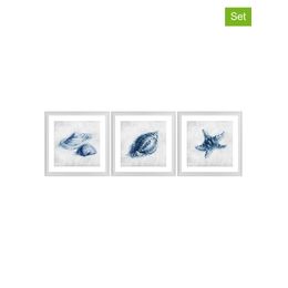 Ars Longa 3er-Set Gerahmte Kunstdrucke "Blue Shells" - (L)70 x (B)70 cm - 33% | Wanddekoration