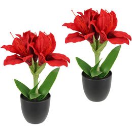I.GE.A. Kunstblume &raquo;Amaryllis im Topf&laquo; 2erSet Blume Weihnachtsblume Weihnachtsdeko Winterblume Floristik Deko Polyester