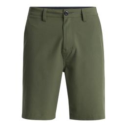 Quiksilver Herren Badeshorts &raquo;Union Amph 20"&laquo; 33(M/L), US-Gr&ouml;&szlig;en