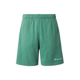 Champion Authentic Athletic Apparel Pants male Green size XS