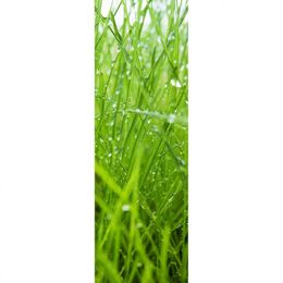XIMAX Raumheizk&ouml;rper Design Heizk&ouml;rper P1 Plan Print Gras vertikal, 180x59,5 cm (1088 W)