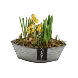 MeinVIPShop Wundersch&ouml;nes Arrangement aus bunten Fr&uuml;hlingsblumen | Gr.: onesize