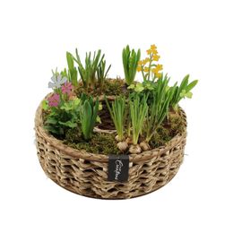 MeinVIPShop Wundersch&ouml;nes rundes Arrangement aus bunten Fr&uuml;hlingsblumen 33cm | Gr.: onesize