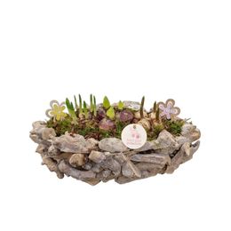 MeinVIPShop Arrangement aus bunten Fr&uuml;hlingsblumen 40cm | Gr.: onesize